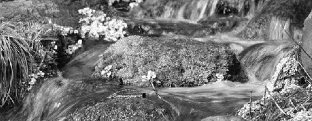 The Power of Water - An experiment with natural spring water. – Synchro