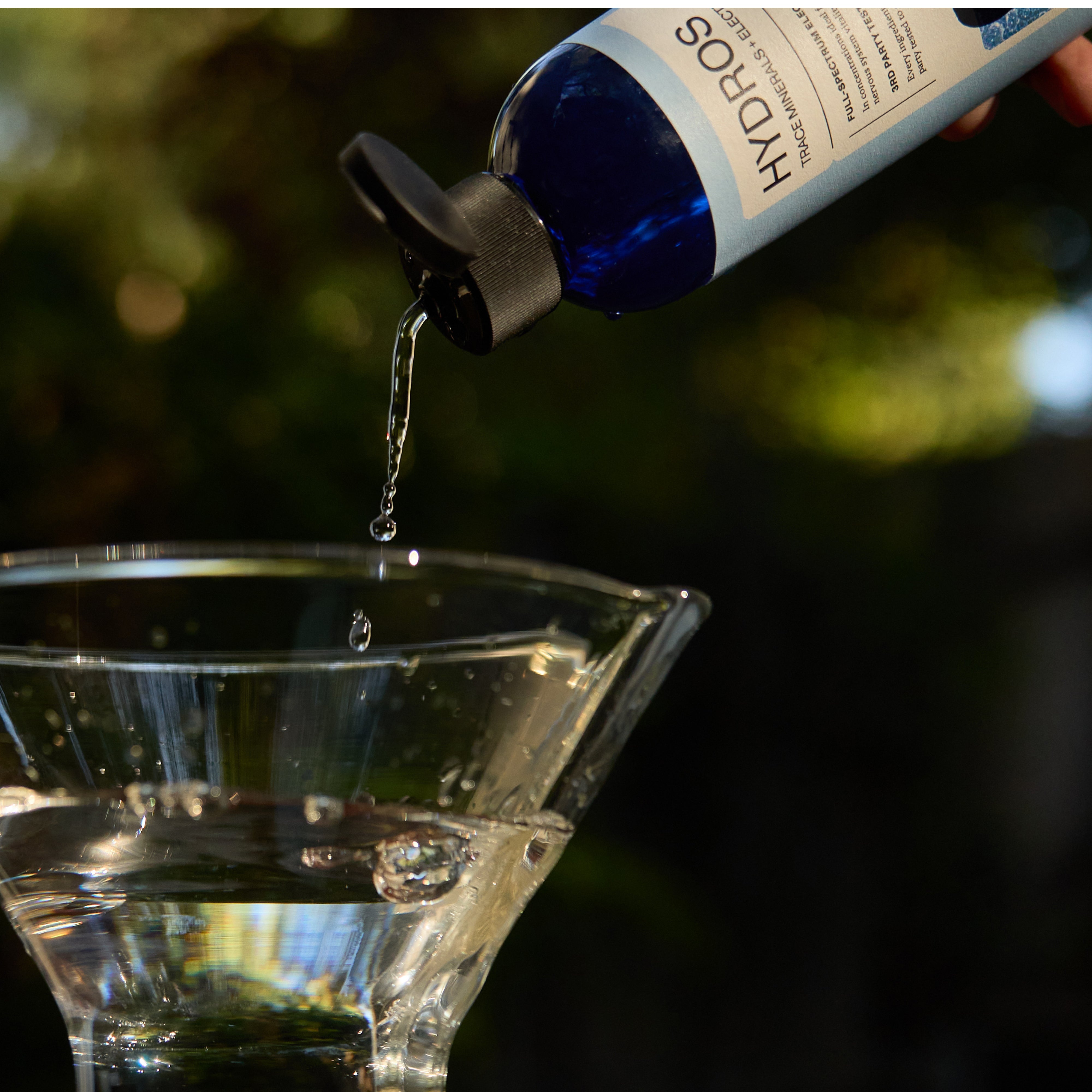 SHOP ALL – Synchro